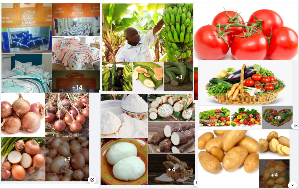 Radar Shops - Boutique et Magasin