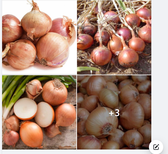 Radar Shops - Boutique et Magasin